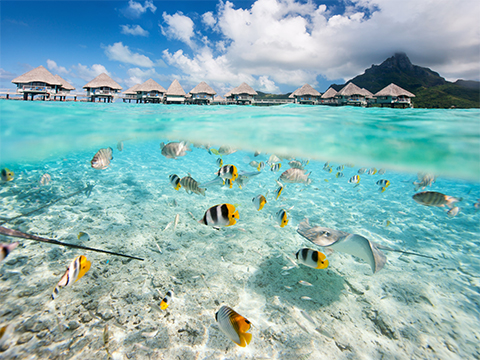 Oceania tours & activities, fun things to do in Oceania. | VELTRA